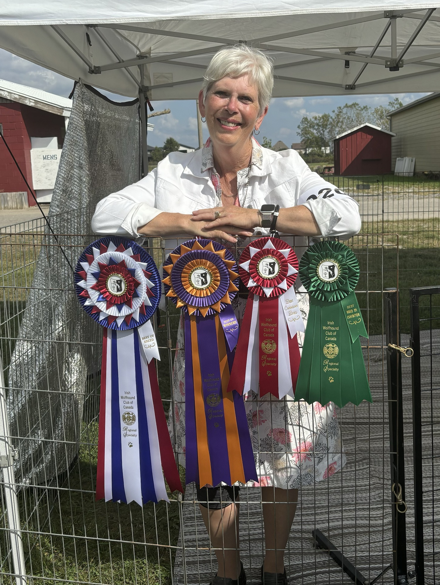 Best in Show TWICE | Heathview Irish Wolfhounds