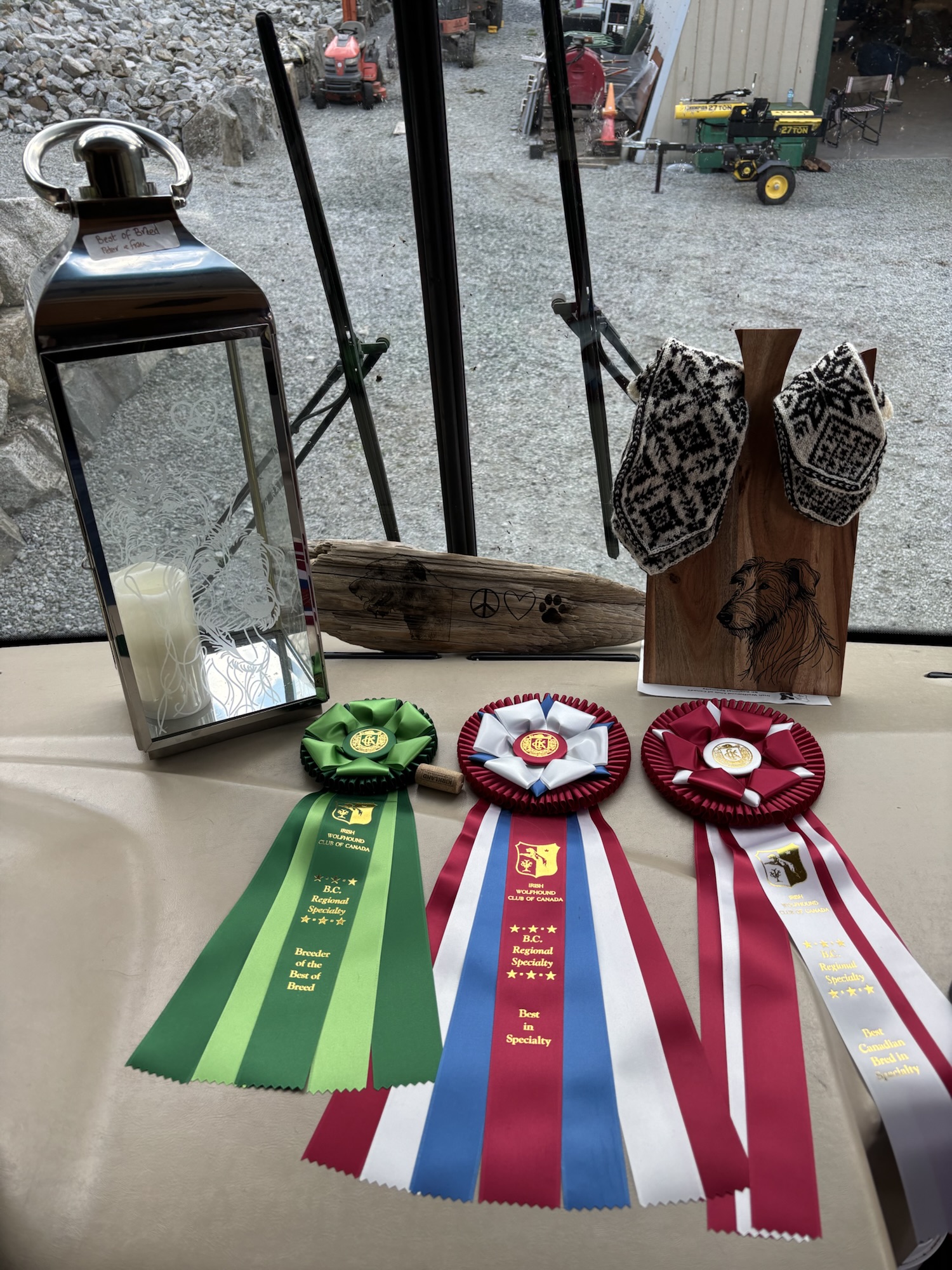 Best In Specialty | Heathview Irish Wolfhounds